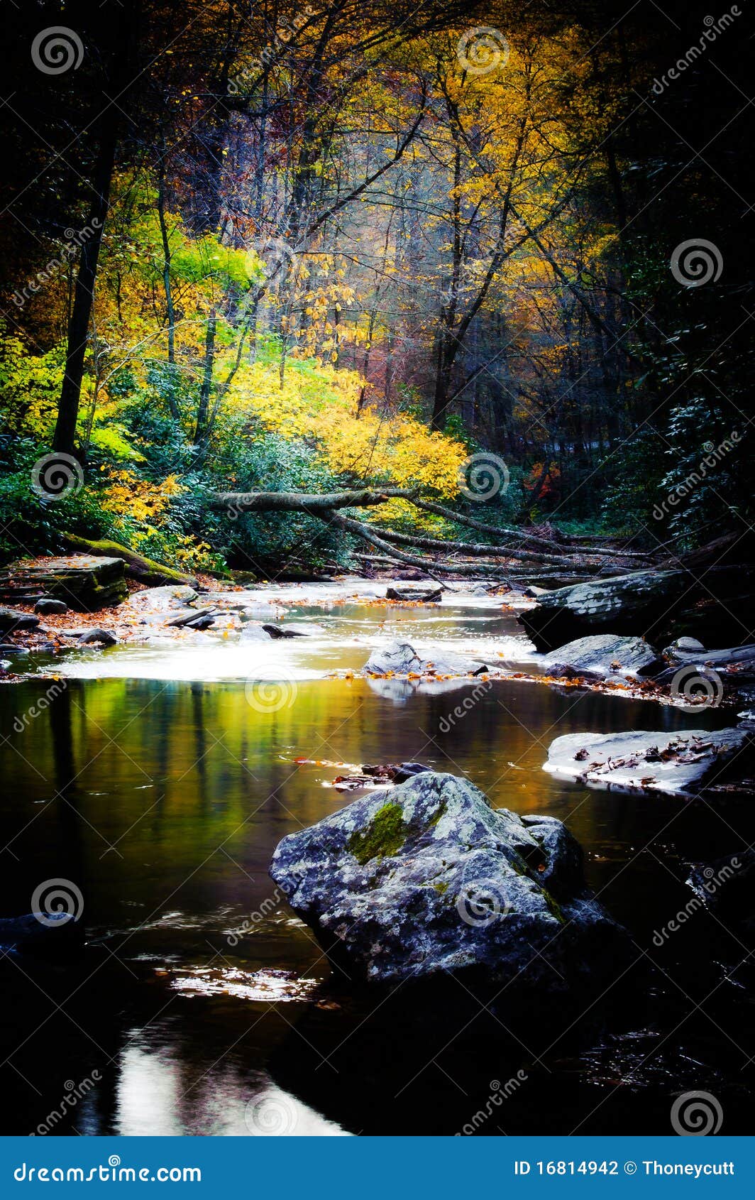 Mountain Stream stock photo. Image of carolina, asheville - 16814942