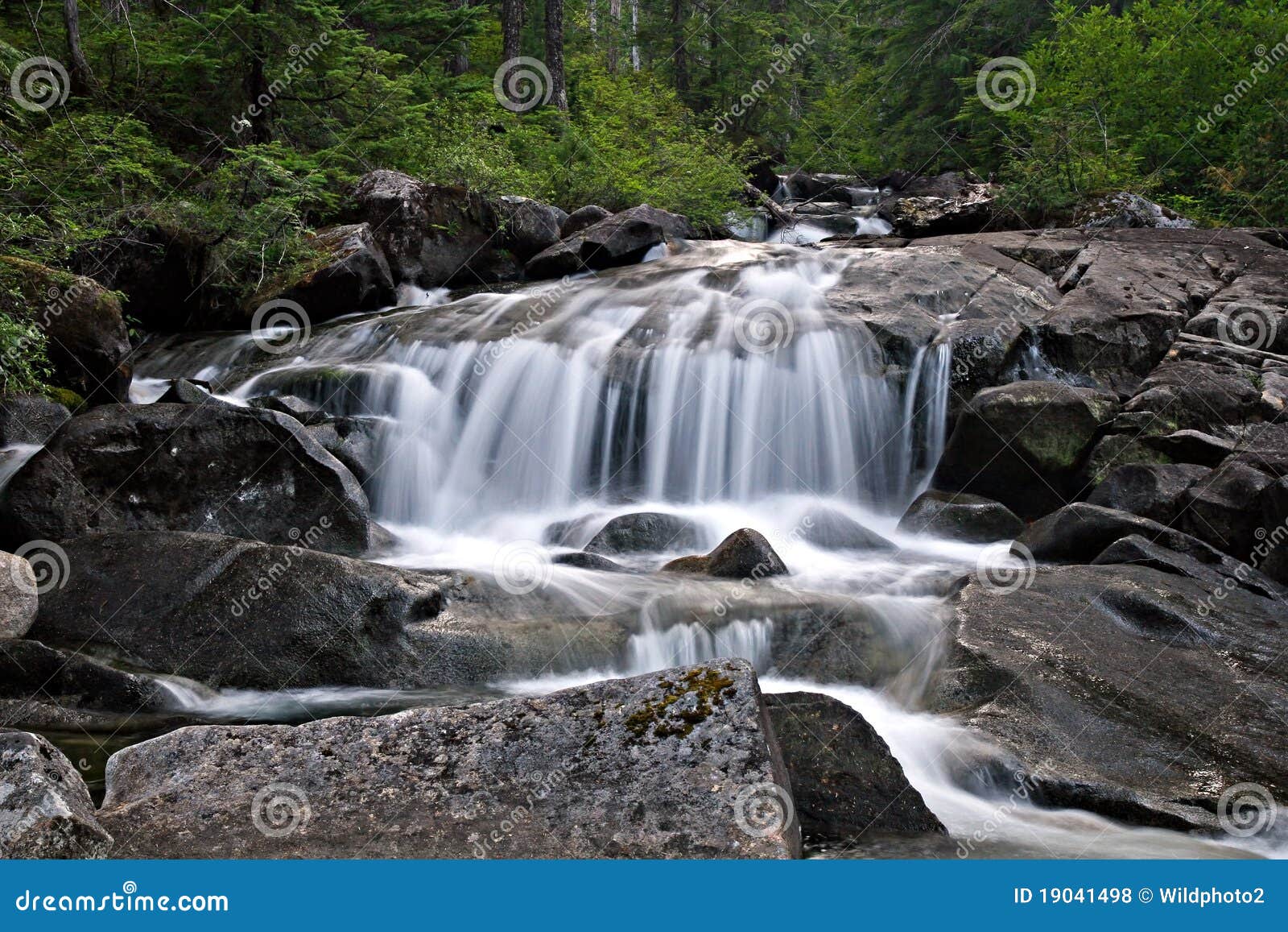 Mountain Stream stock photo. Image of water, forest, cascading - 19041498