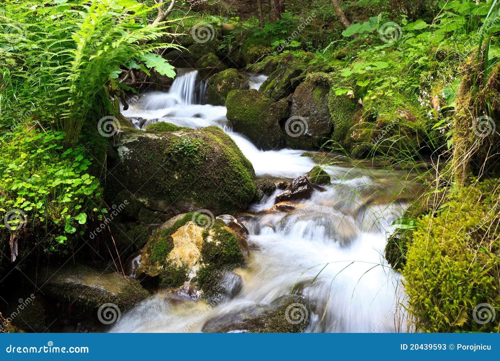 Mountain stream stock image. Image of background, river - 20439593