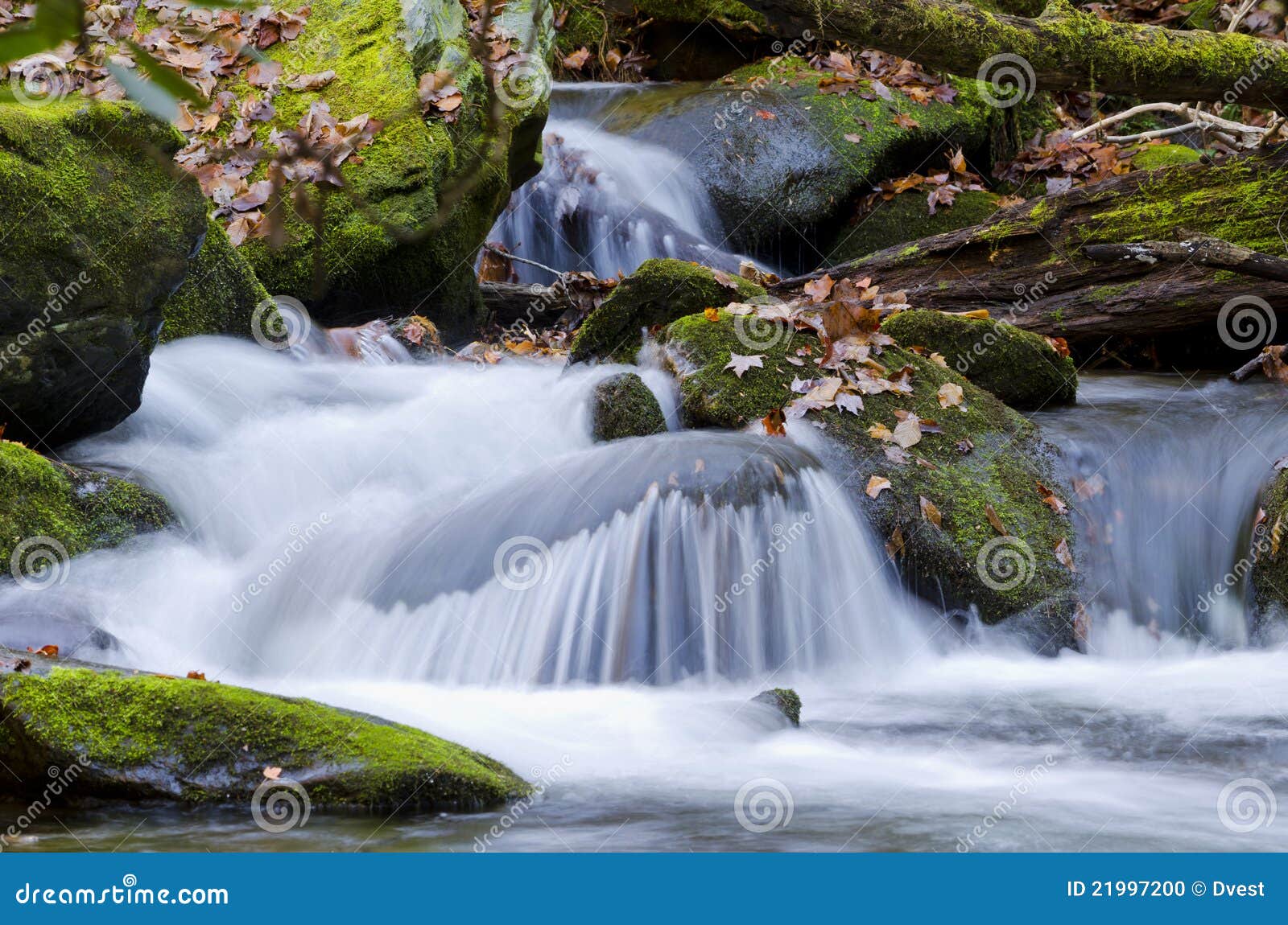 Mountain Stream stock photo. Image of flowing, rocks - 21997200