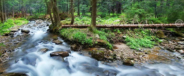 Mountain stream stock image. Image of mountain, stone - 23827293