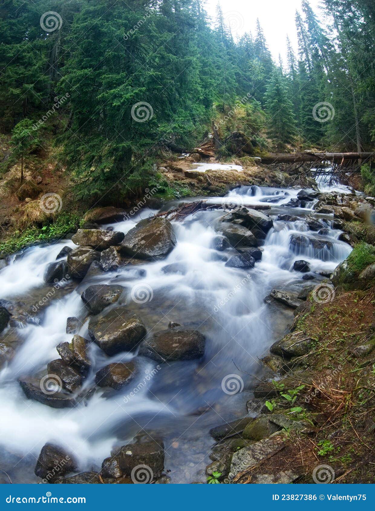 Mountain stream stock photo. Image of mountain, summer - 23827386