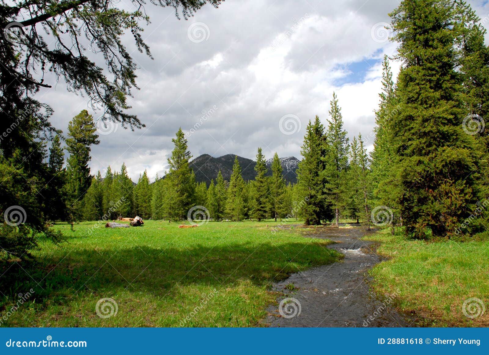 Mountain Stream stock photo. Image of horizontal, river - 28881618