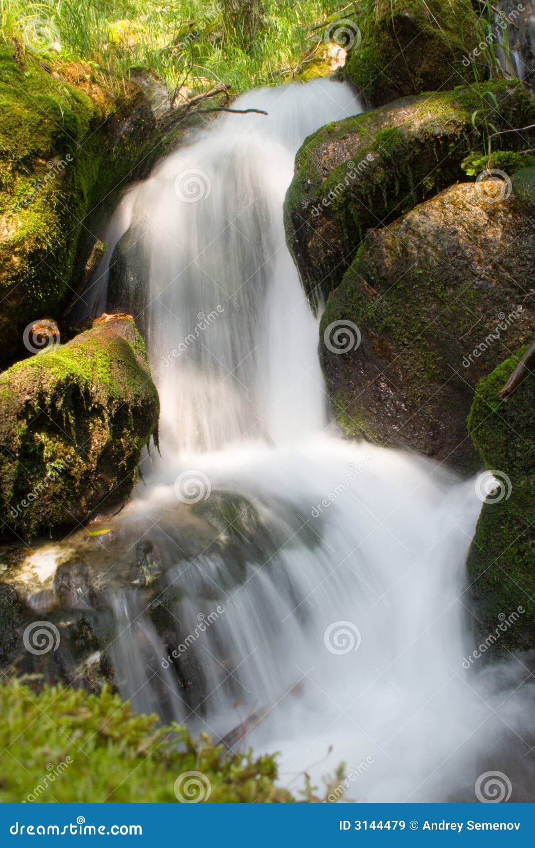 Mountain stream stock image. Image of pure, long, falling - 3144479