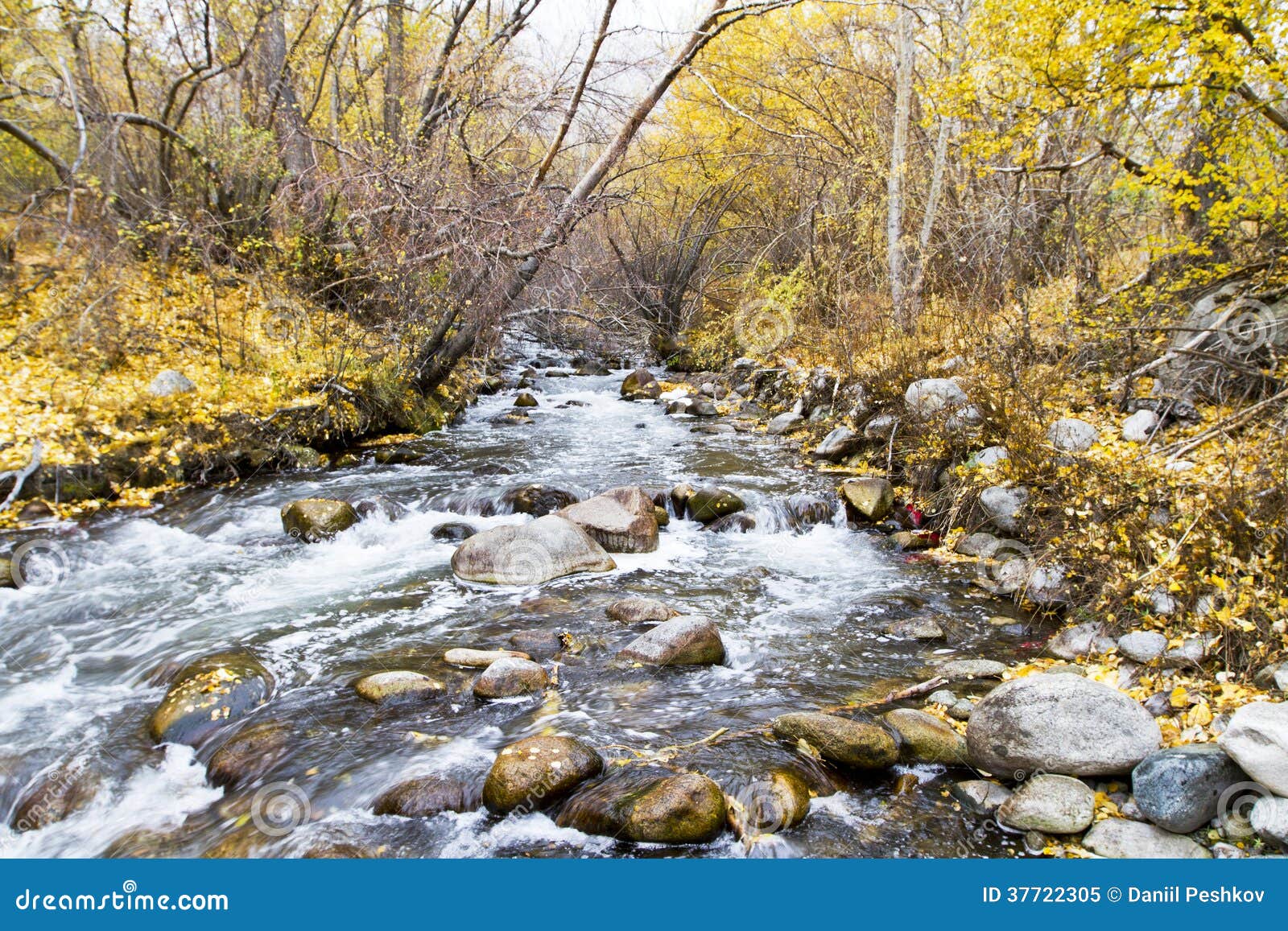 Mountain stream stock image. Image of lapse, majestic - 37722305