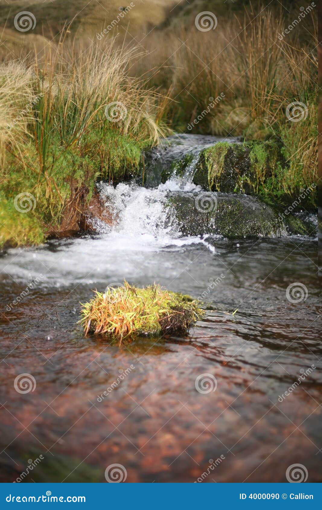 Mountain stream stock photo. Image of fresh, verdant, nature - 4000090