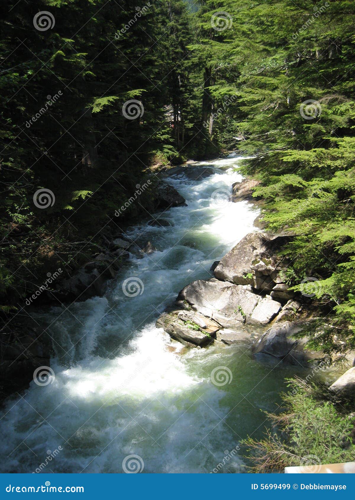Mountain stream stock image. Image of landscape, rushing - 5699499