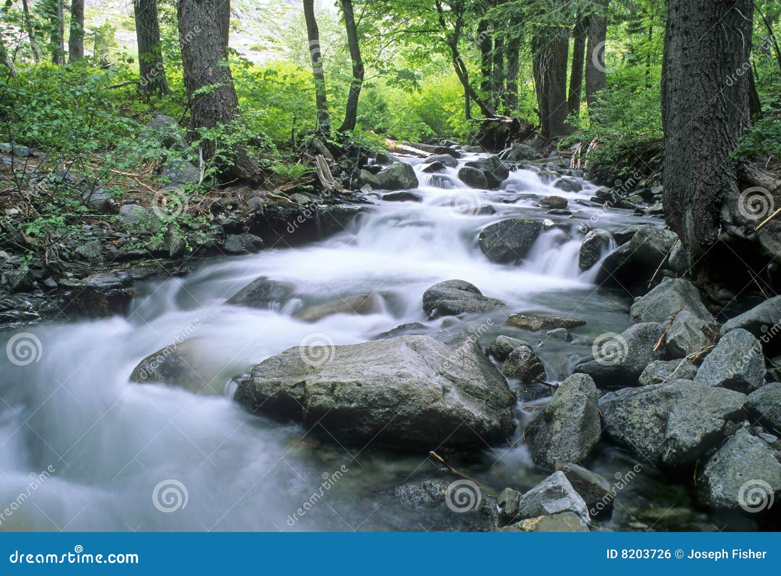 Mountain Stream Royalty Free Stock Image - Image: 8203726