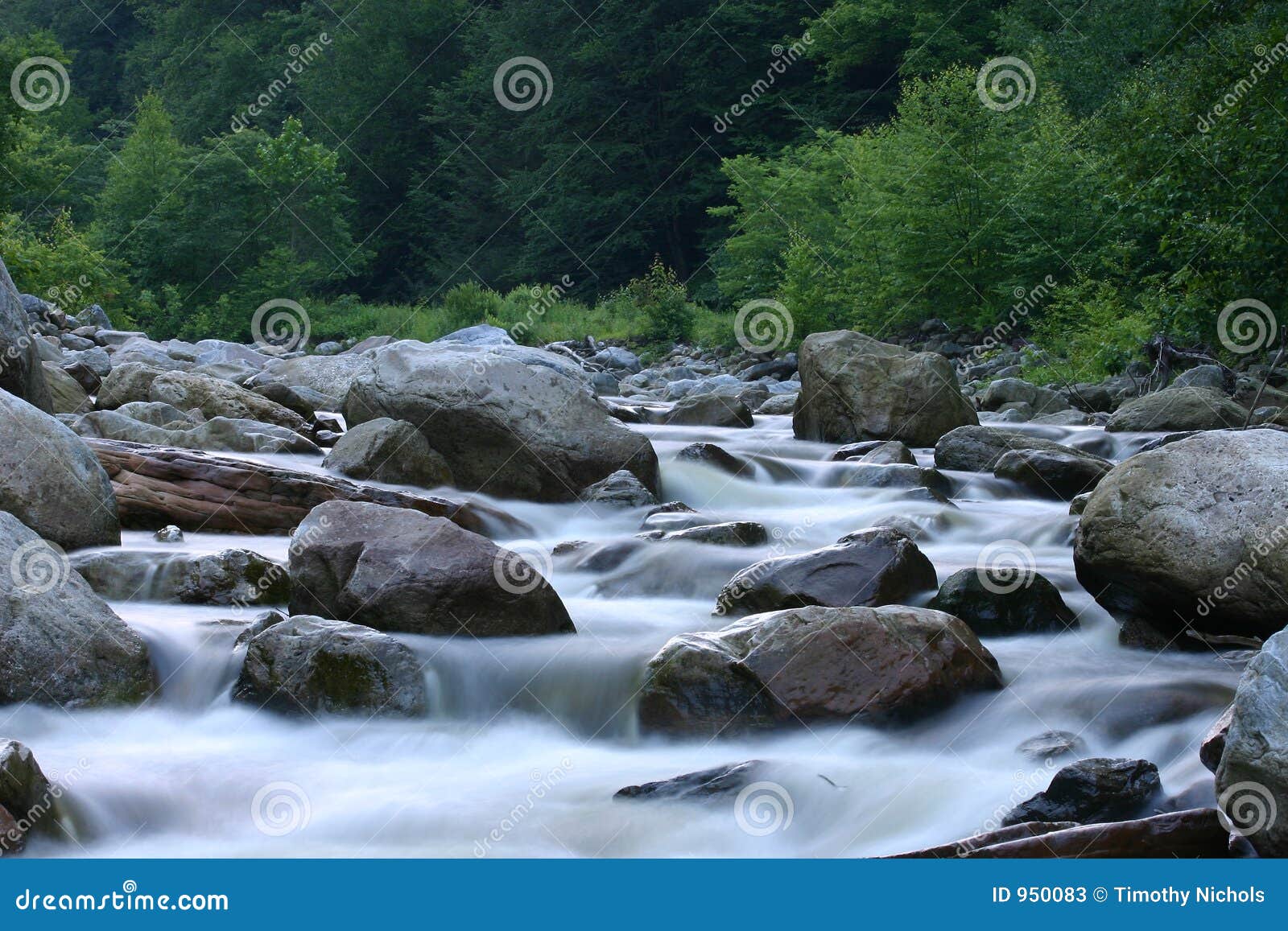 Mountain stream stock image. Image of rapids, mountain - 950083