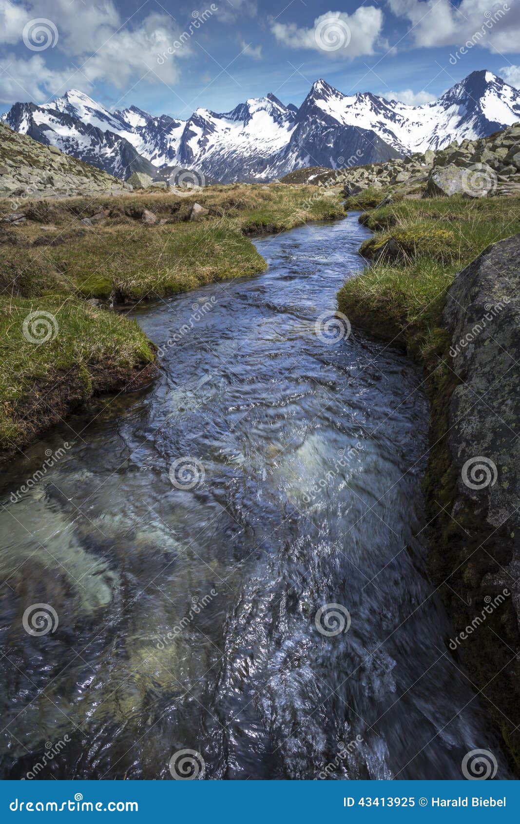 Mountain Stream in the Alps, Italy Stock Image - Image of adige ...