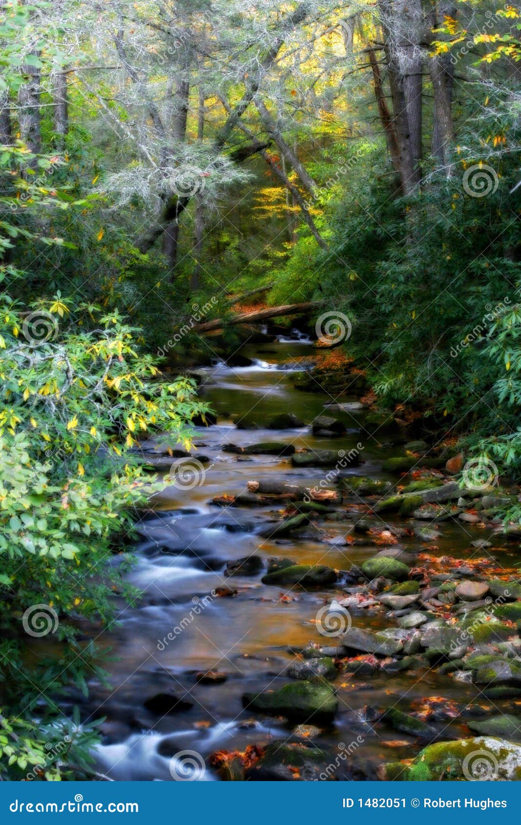 Mountain Stream Art stock image. Image of rhodedendron - 1482051