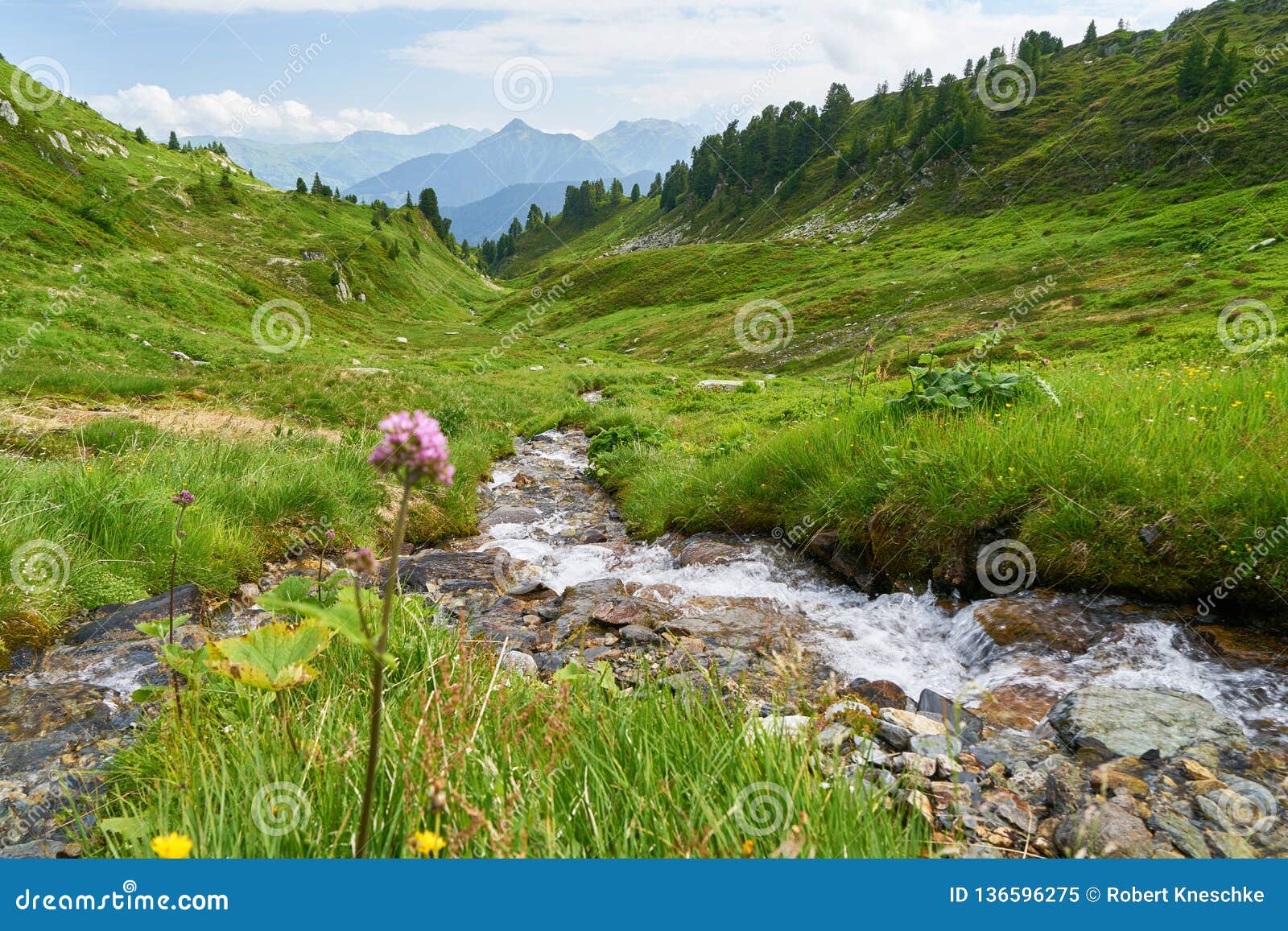 Mountain Stream As a Source of Fresh Water in the Mountains Stock Image ...