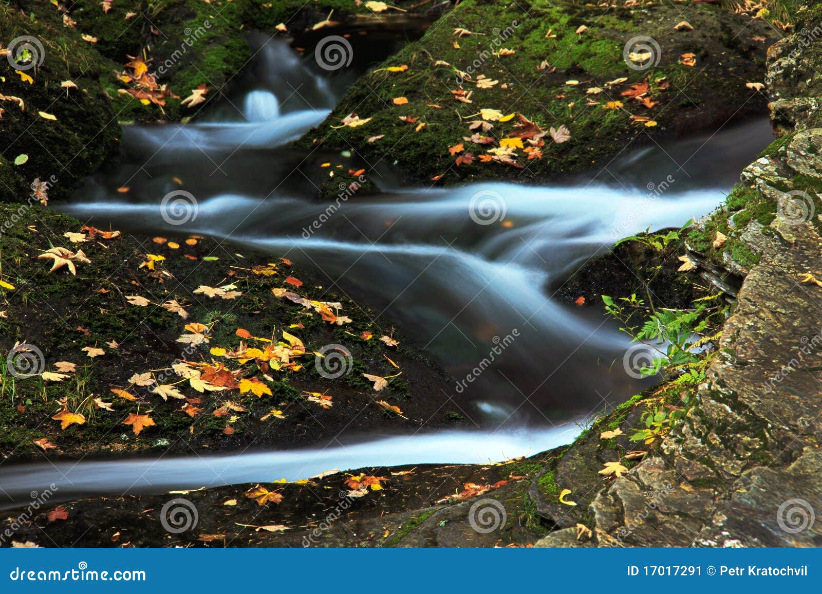 Mountain stream in autumn stock image. Image of mountain - 17017291