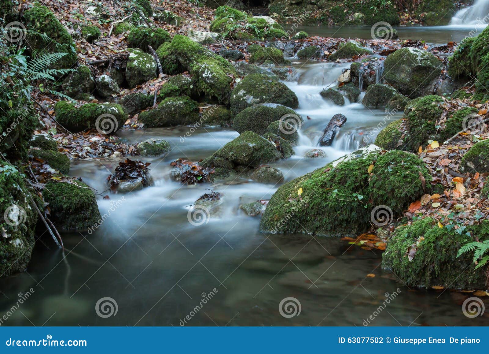 Mountain stream,Autumn stock photo. Image of waterfalls - 63077502