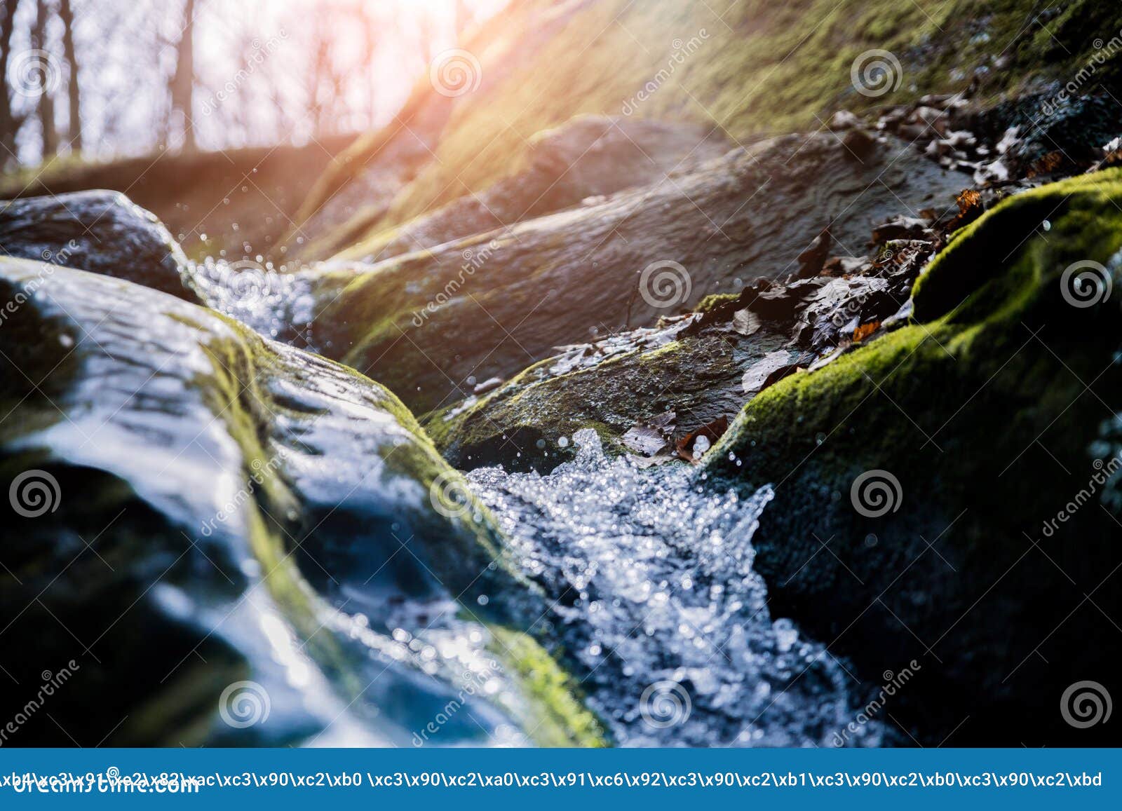 Mountain Stream in the Autumn Sunny Day Stock Image - Image of mountain ...