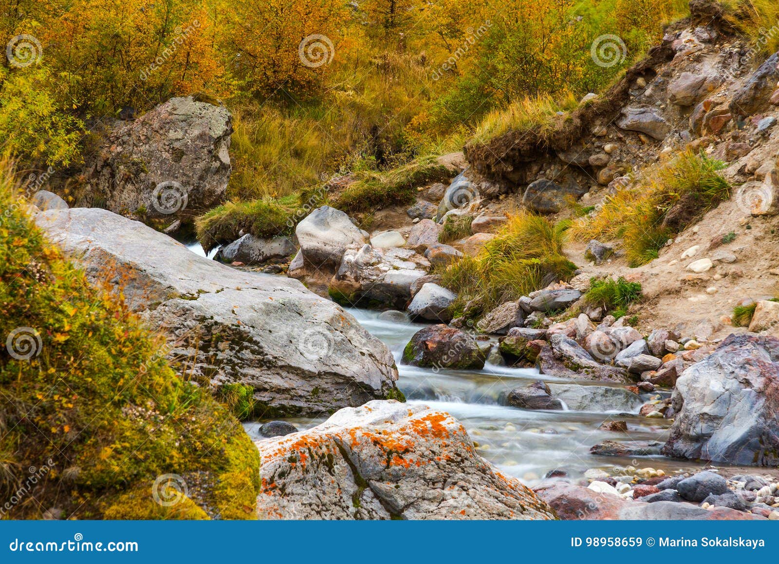 Mountain stream autumn stock image. Image of mountains - 98958659