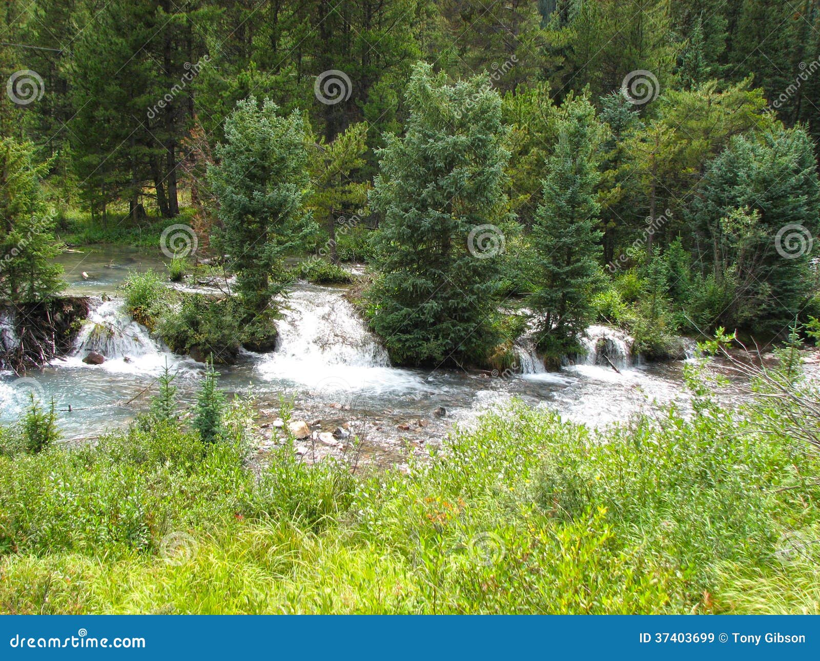 Mountain stream stock image. Image of land, natural, canyon - 37403699