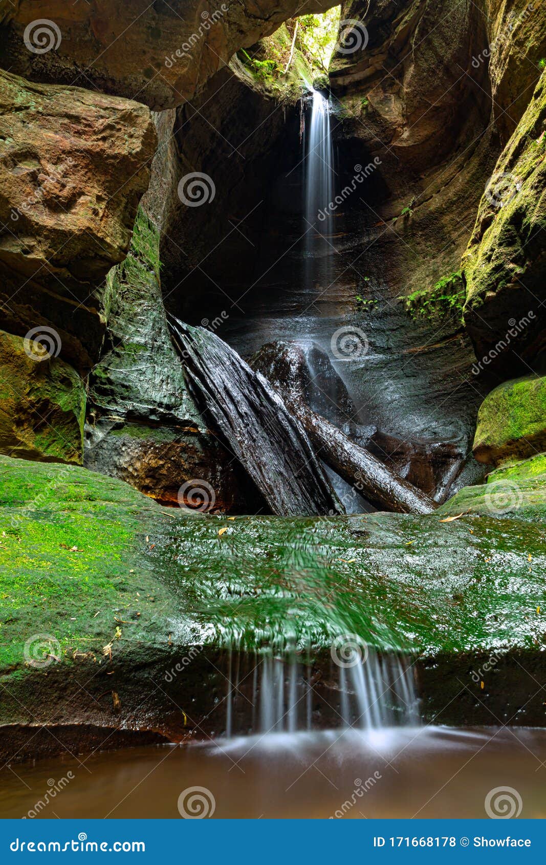 Mountain Stream through Canyon Stock Photo - Image of plant, nature ...