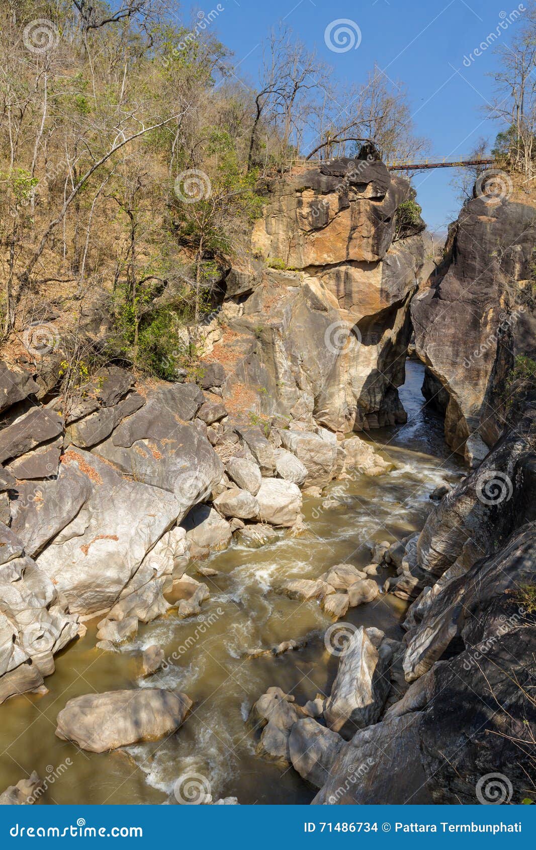 Mountain stream canyon stock photo. Image of landscape - 71486734