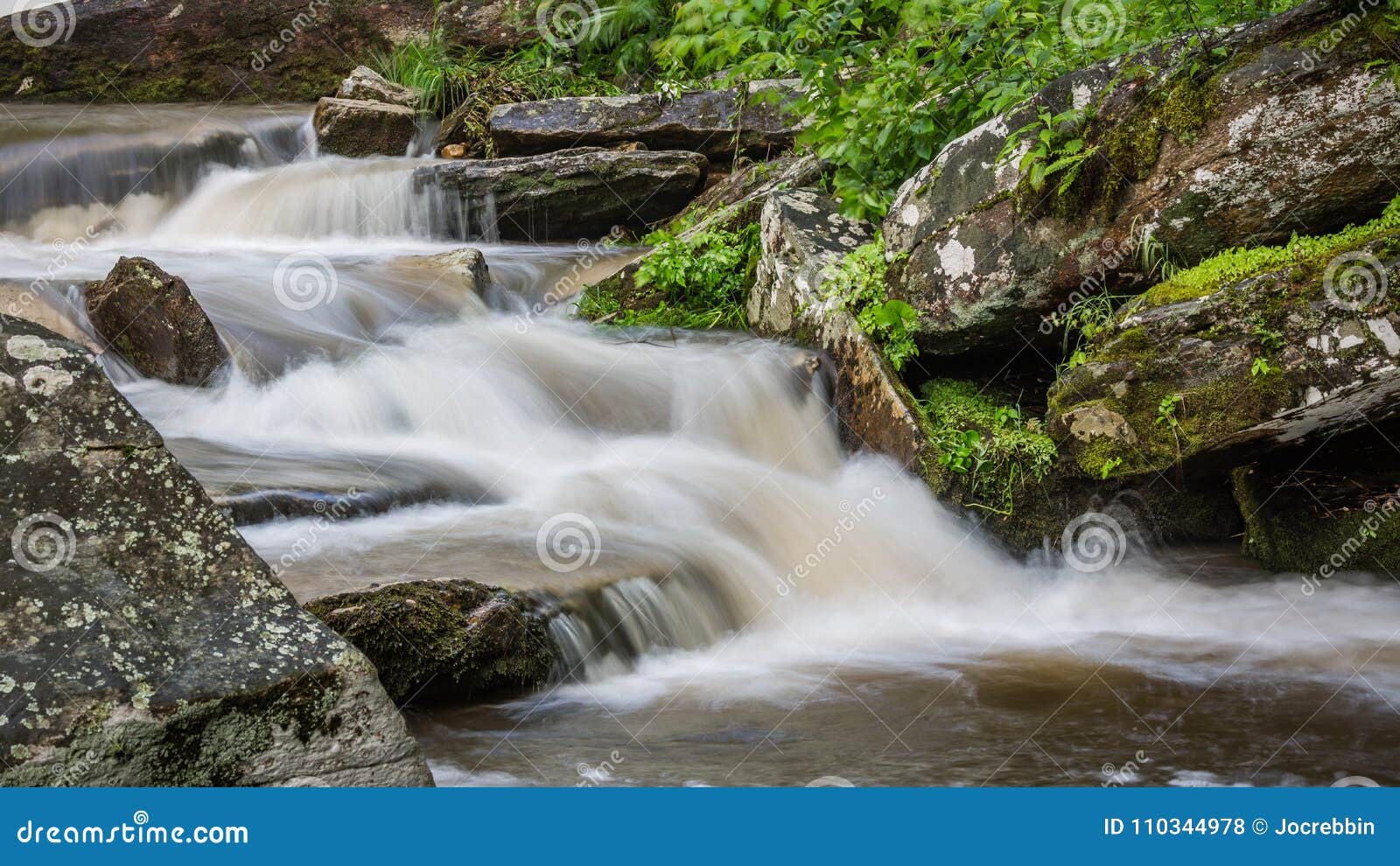 Mountain Stream Cascade Flows through Forest Stock Photo - Image of ...
