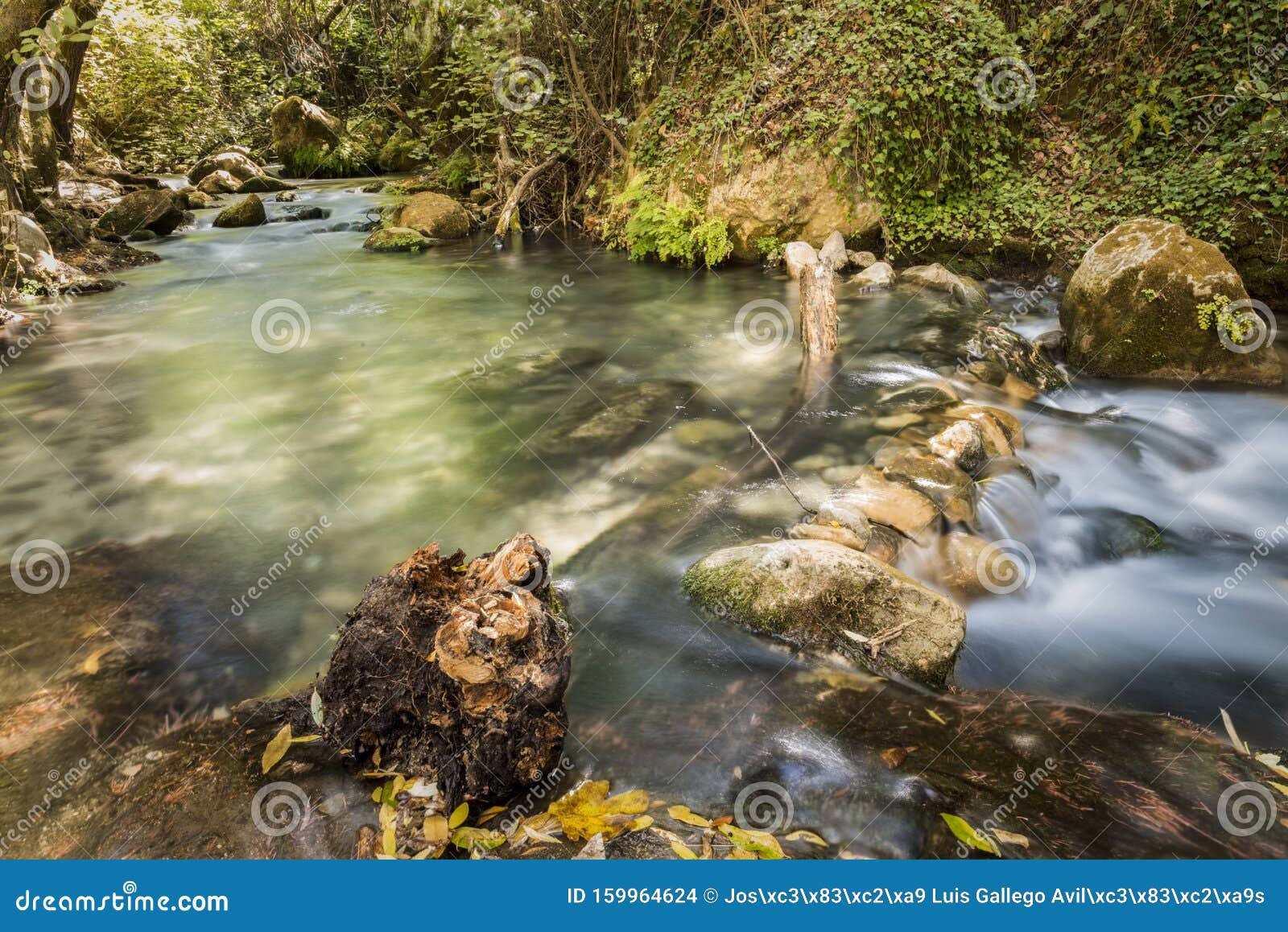 Mountain Stream of Clean and Clear Waters Flowing between Rocks Stock ...
