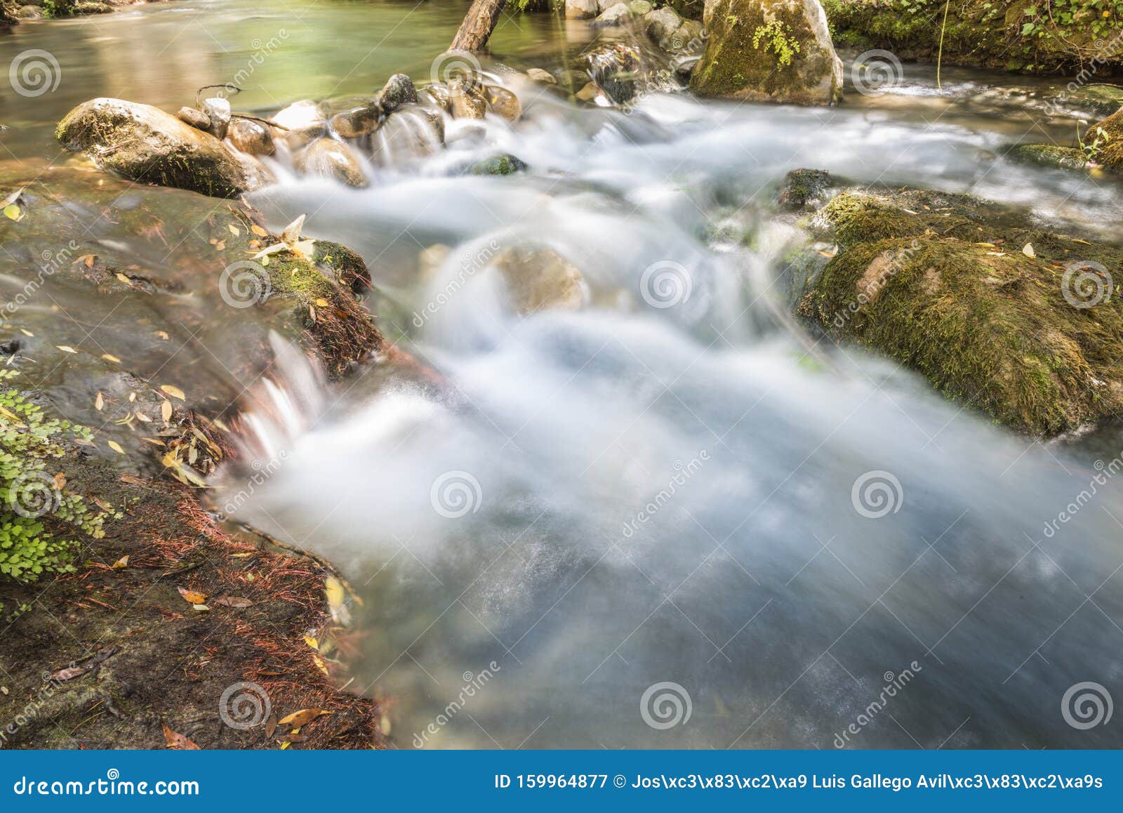 Mountain Stream of Clean and Clear Waters Flowing between Rocks Stock ...