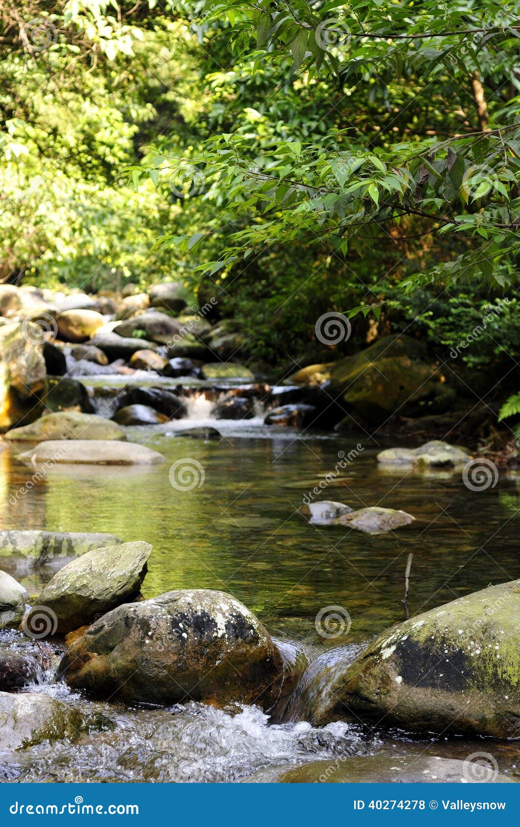 Mountain stream stock photo. Image of liquid, countryside - 40274278