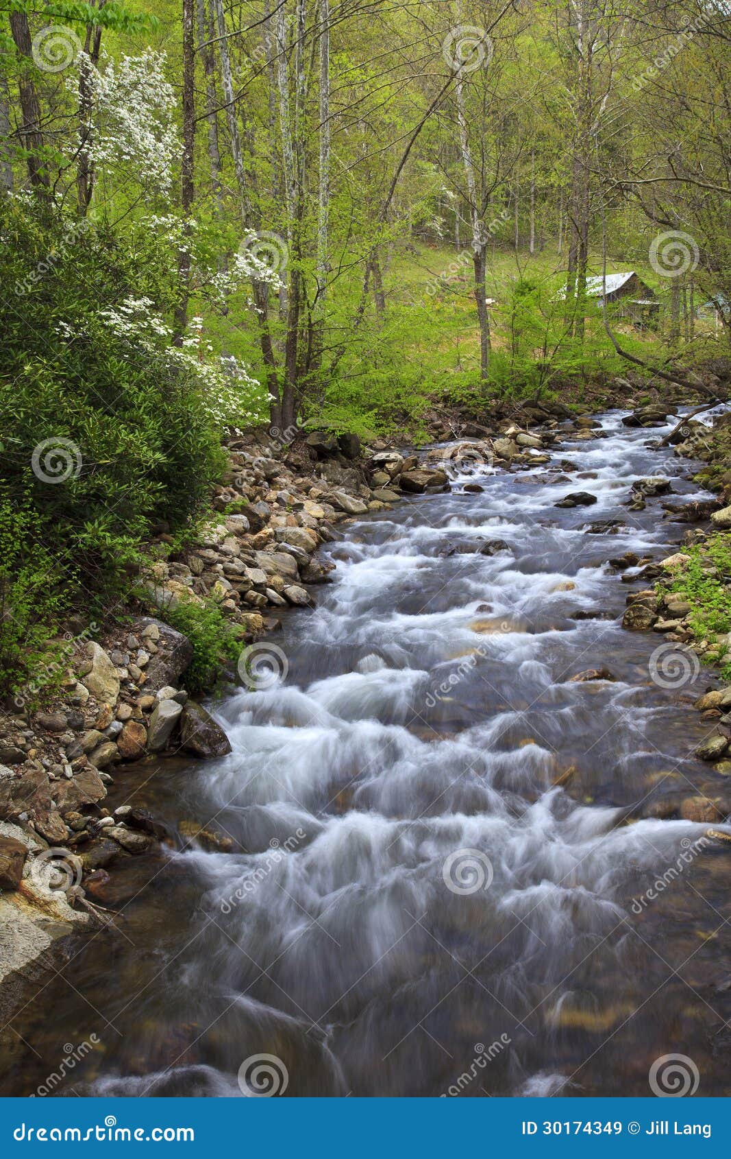 Mountain Creek in the Spring Stock Image - Image of rocks, flow: 30174349