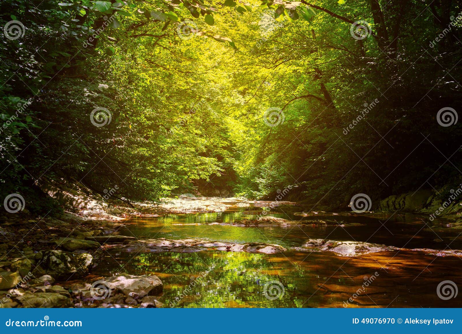 Mountain Stream in the Evening Sun Stock Photo - Image of glow, cascade ...