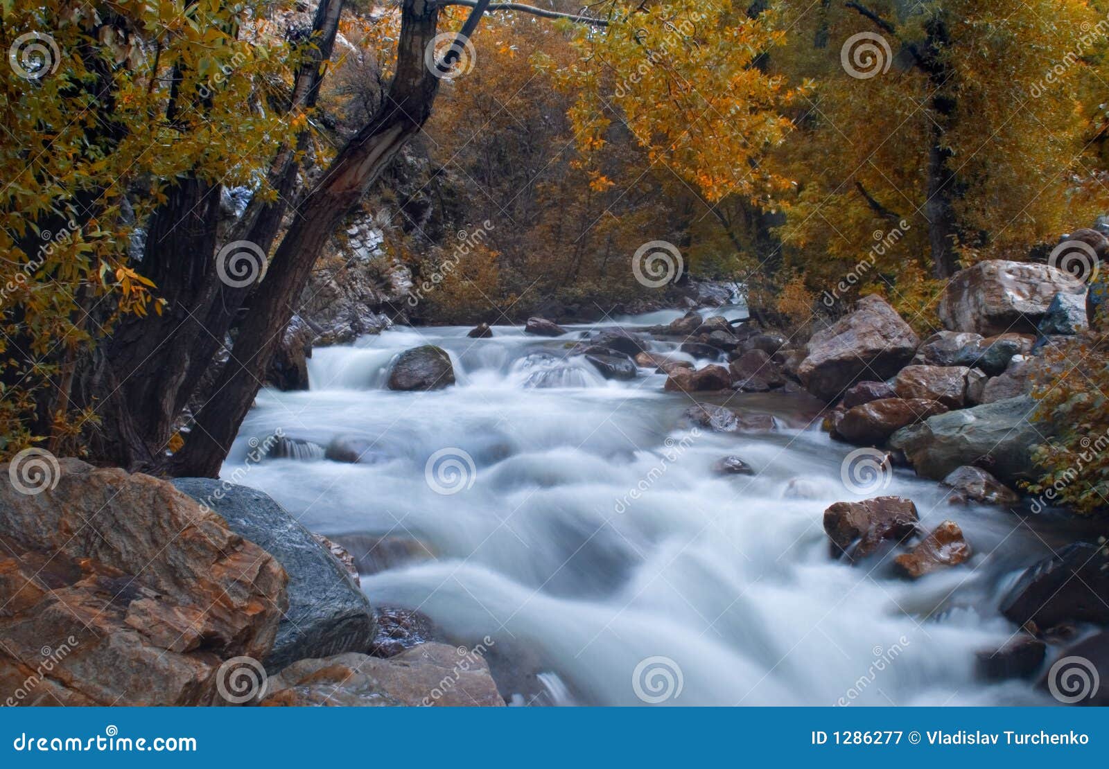 Mountain stream at fall stock image. Image of foliage - 1286277