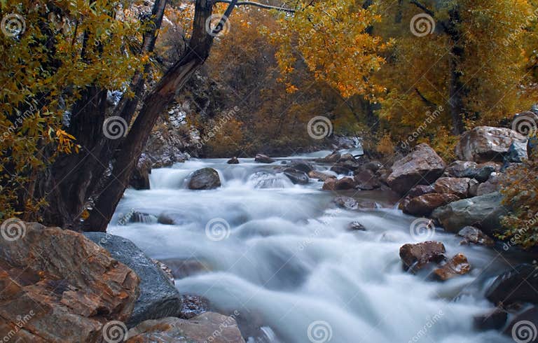Mountain stream at fall stock image. Image of foliage - 1286277