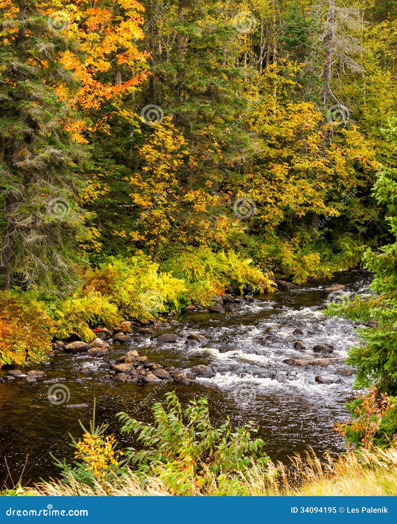 Mountain stream in fall stock image. Image of vibrant - 34094195