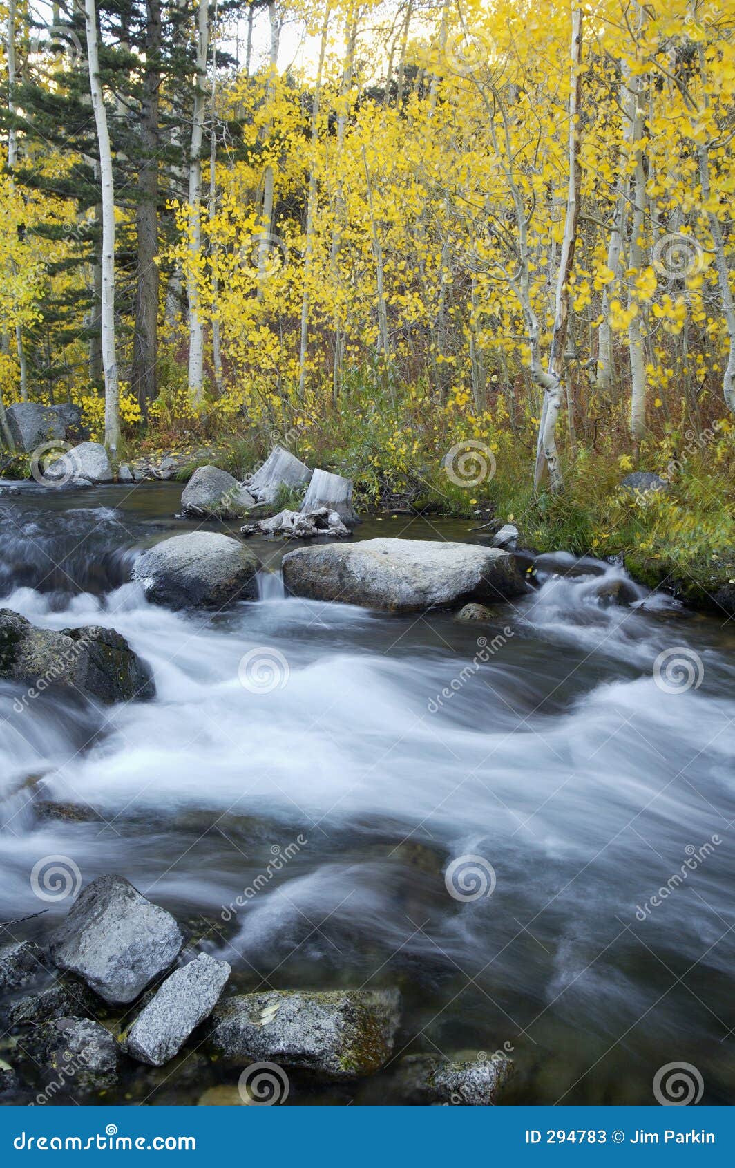 Mountain Stream, Fall Colors Stock Image - Image of california, valley ...