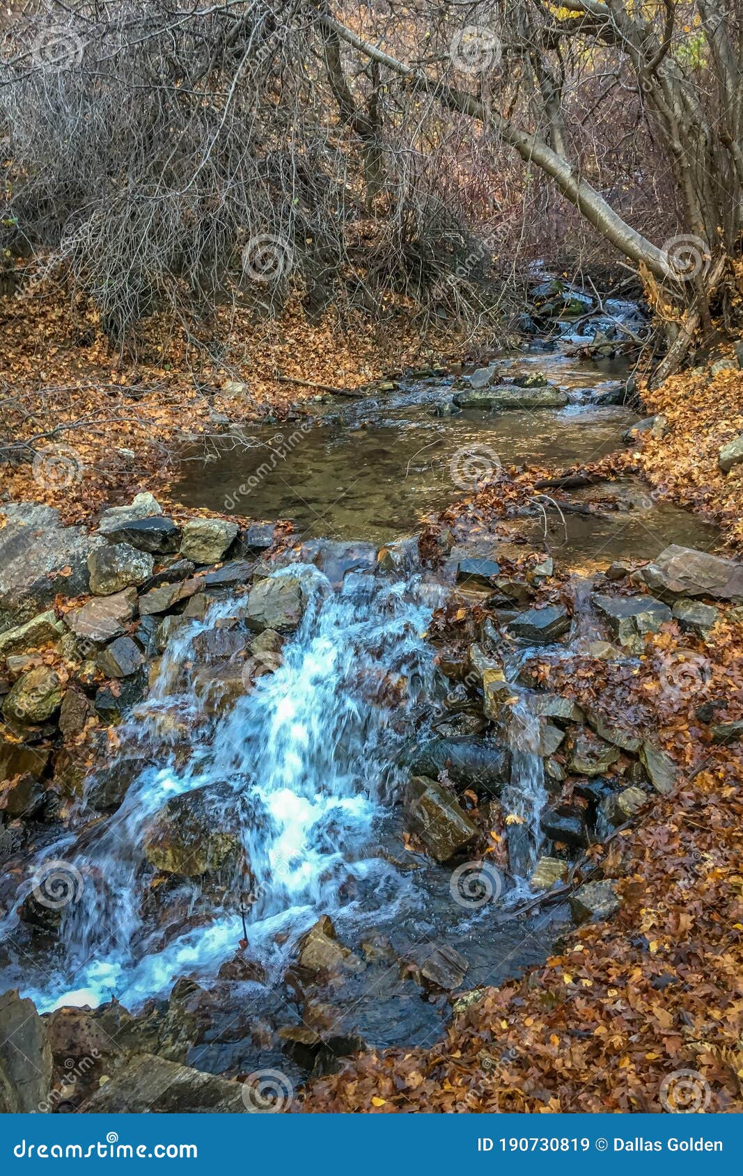 Mountain Stream in the Fall Stock Image - Image of natural, autumn ...