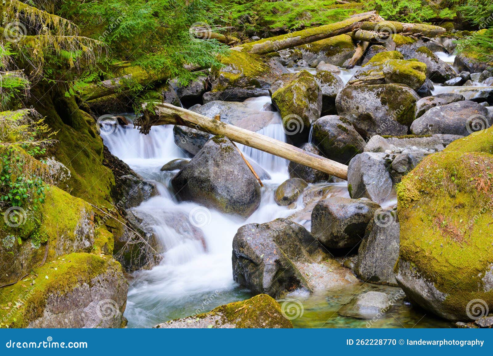 Mountain Stream Falling between Boulders and Fallen Trees Stock Photo ...