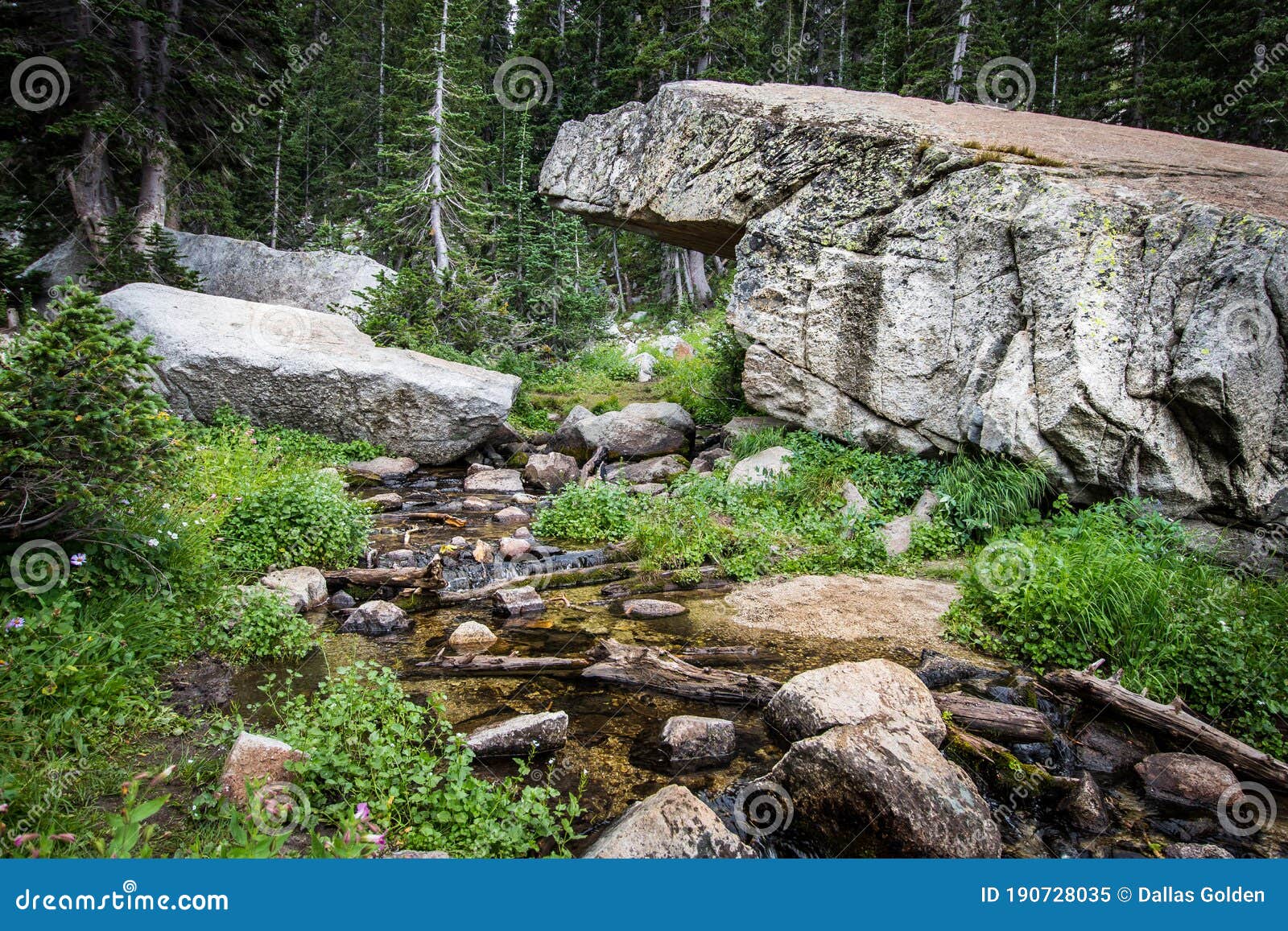 Stream Flowing Around Rocks in the Mountains Stock Image - Image of ...
