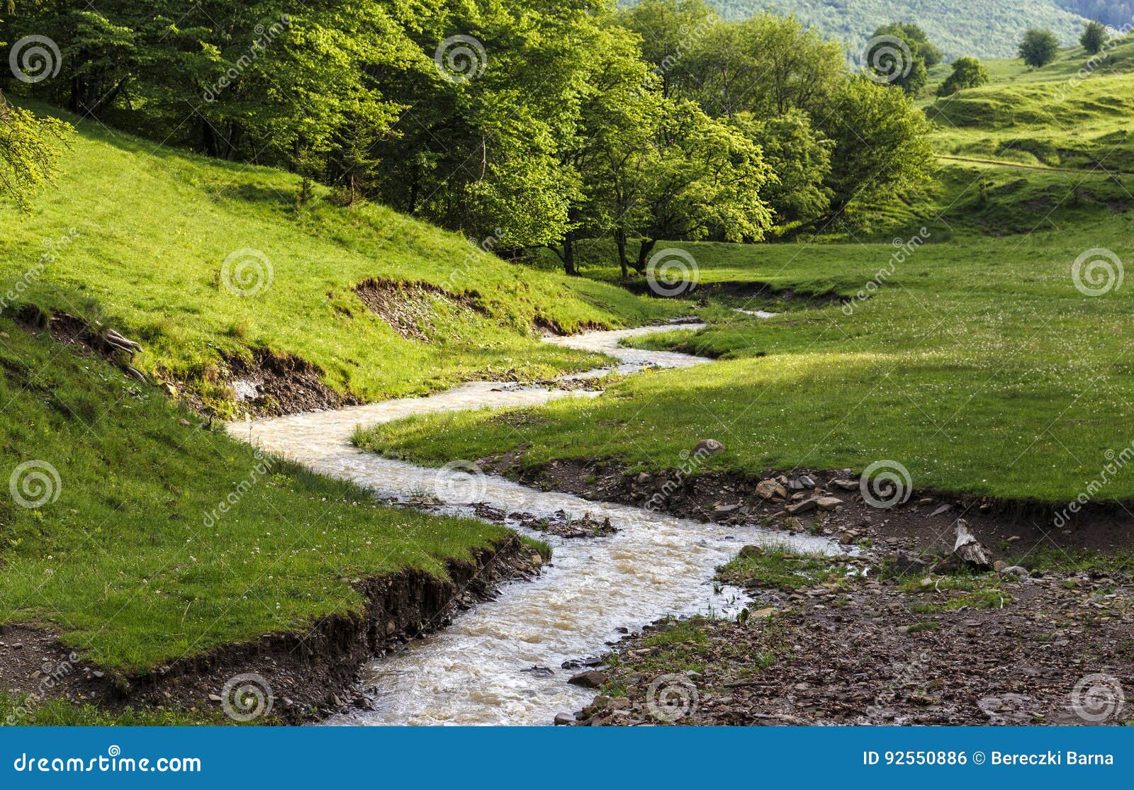 Mountain Stream Flowing through the Green Forest and Meadow. Stock ...