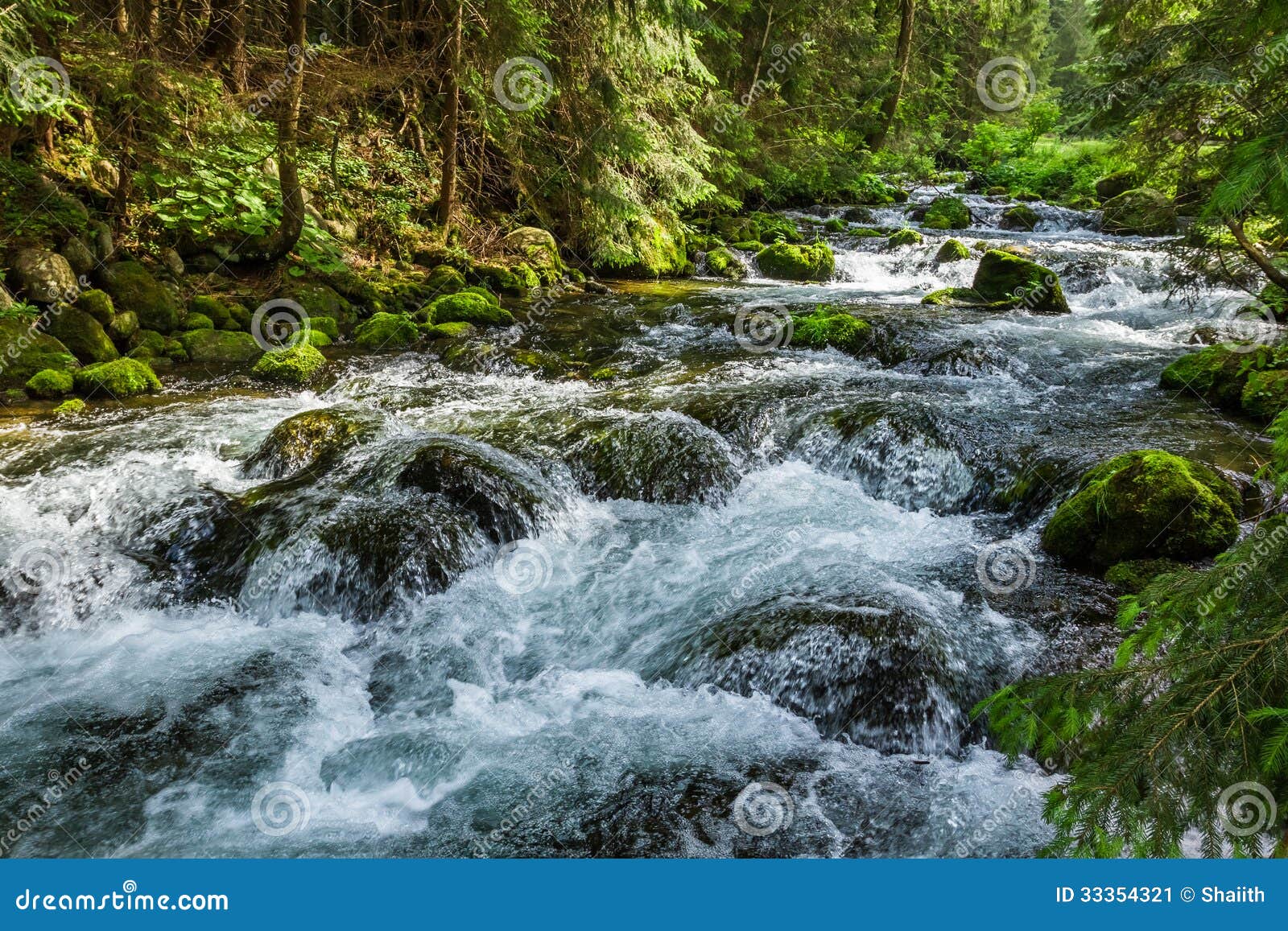 Mountain Stream Flowing between Mossy Stones Stock Image - Image of ...