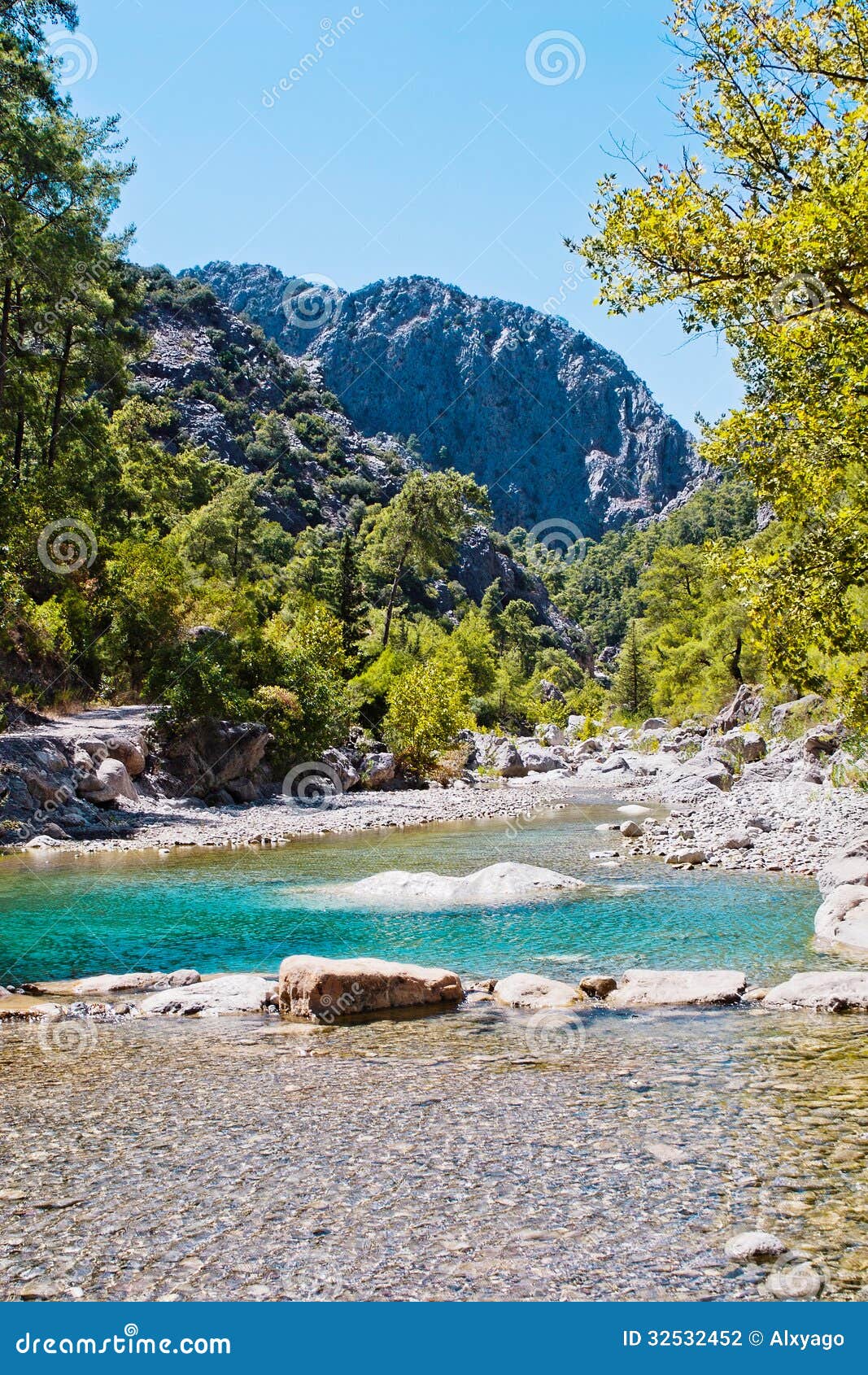Mountain stream stock photo. Image of scene, clean, plants - 32532452