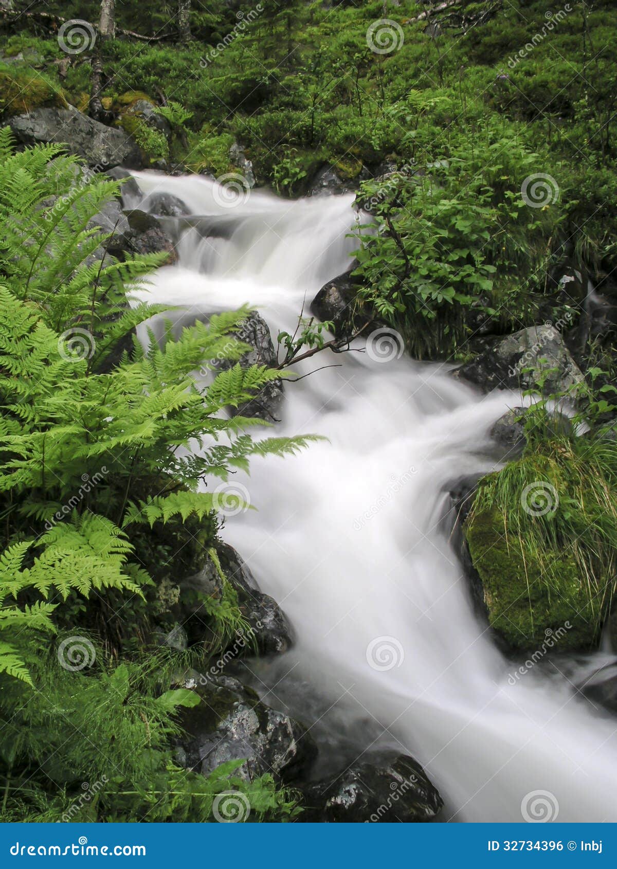 Mountain stream stock photo. Image of cascade, rain, high - 32734396