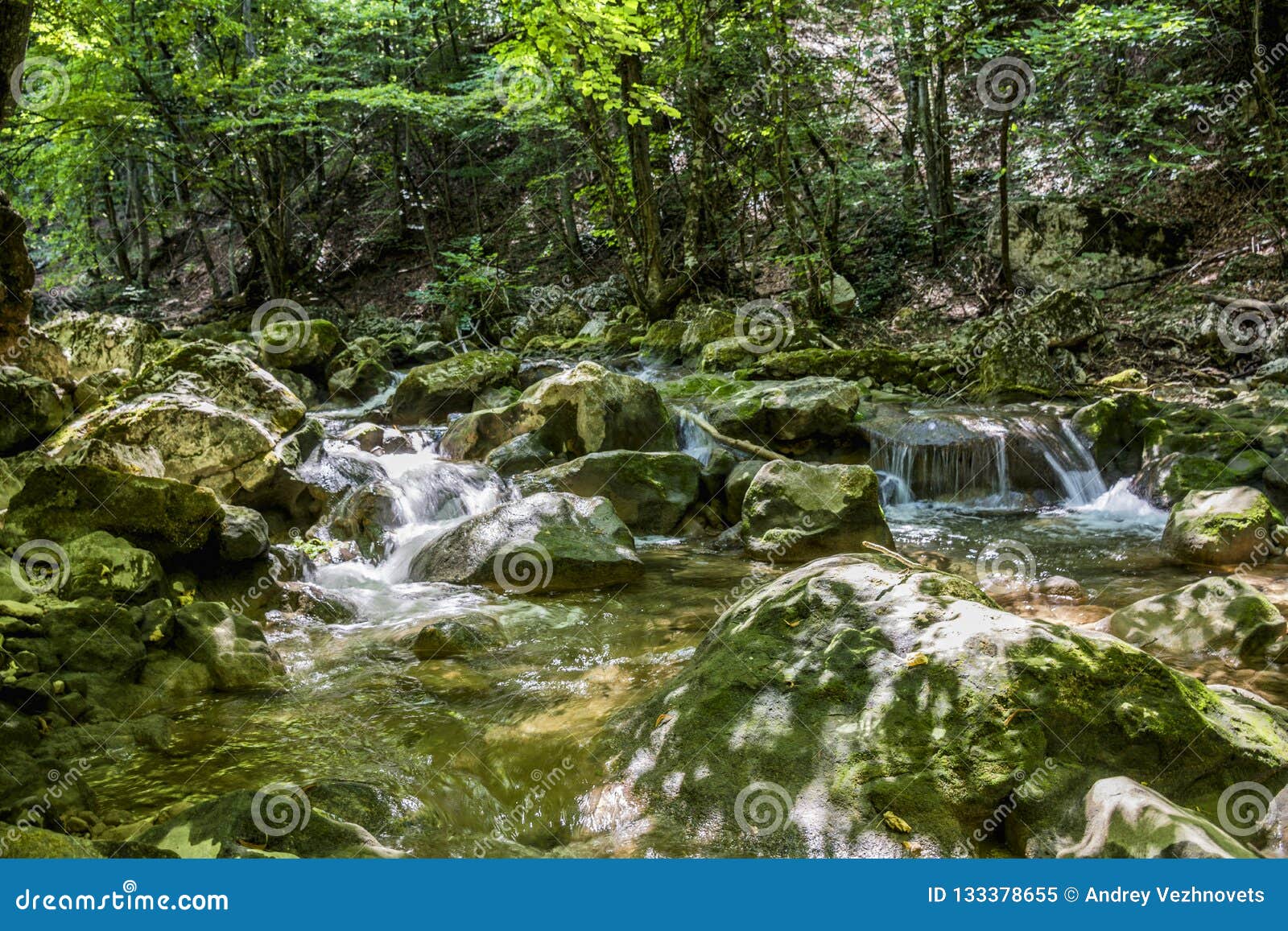The Mountain Stream Flows among Large Boulders in a Deciduous Forest ...