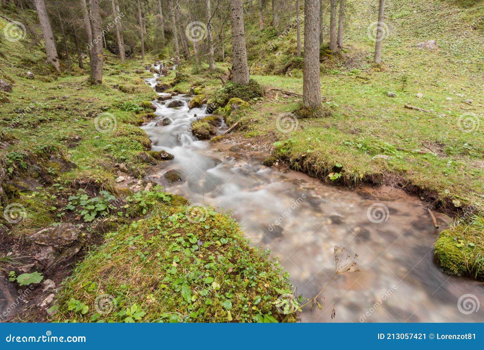 A Mountain Stream Flows in the Misty Forest Stock Image - Image of ...