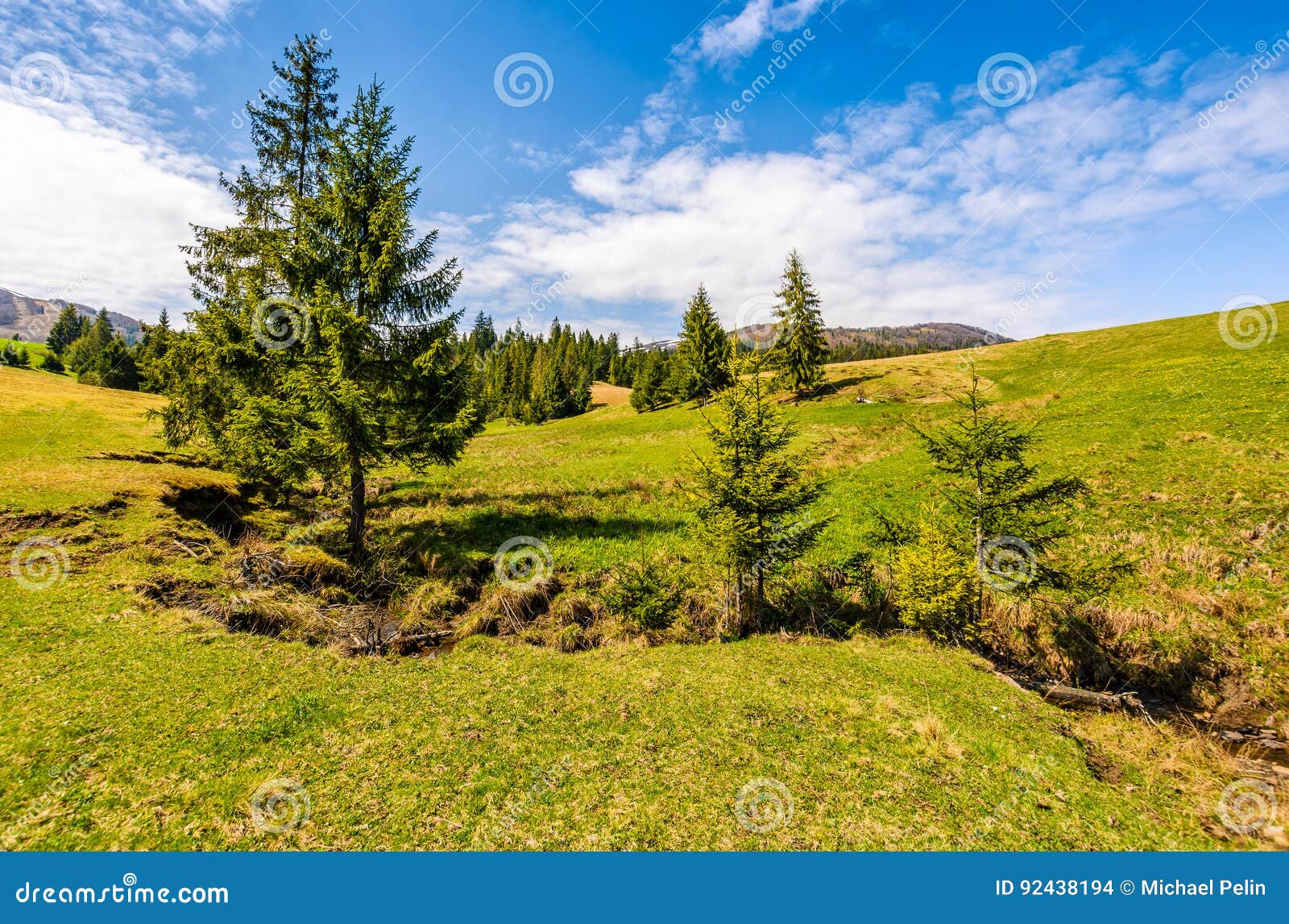 Mountain Stream among the Forest on Meadow Stock Photo - Image of ...