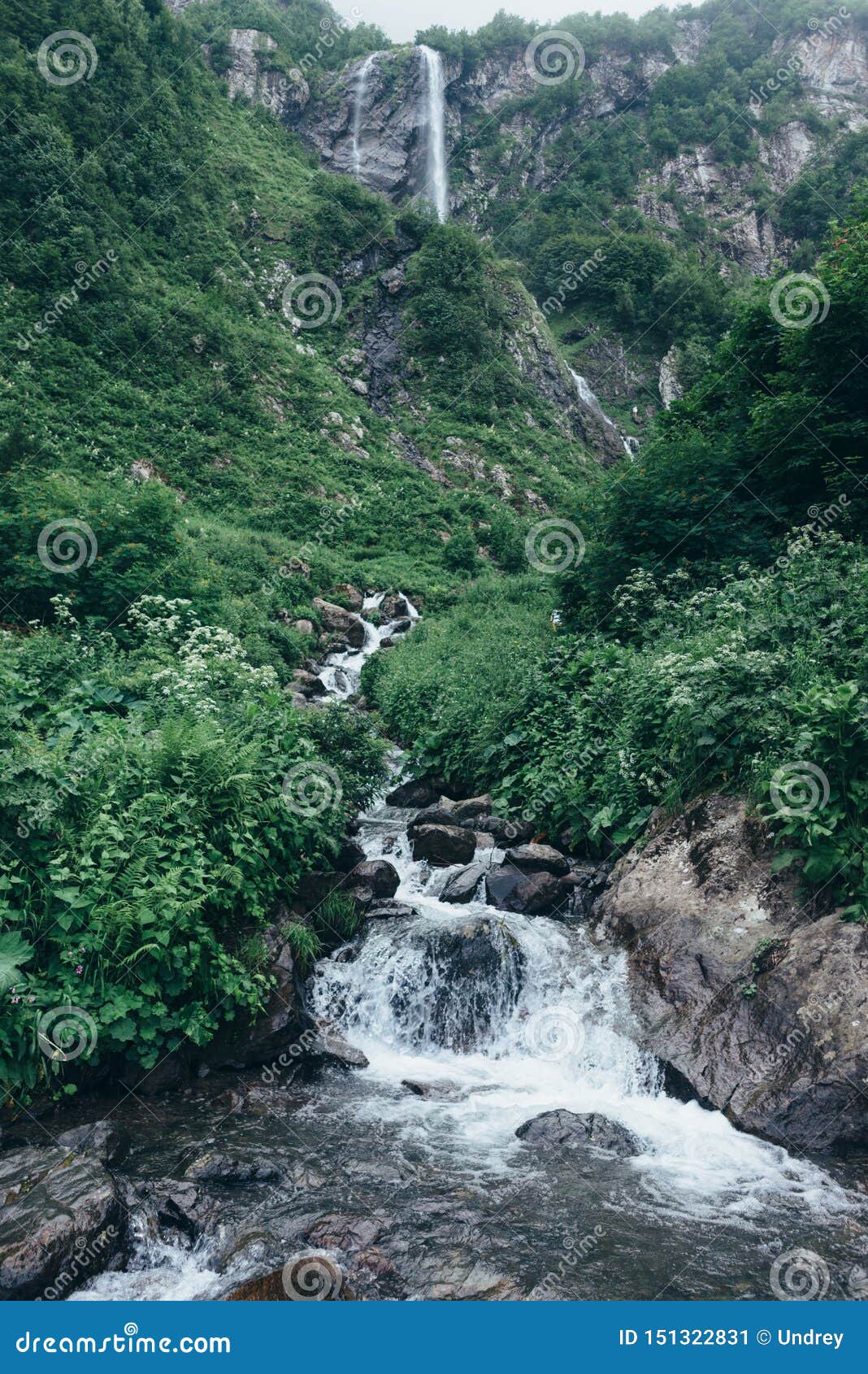 Mountain Stream in the Forest, Natural Landscape. Stock Image - Image ...