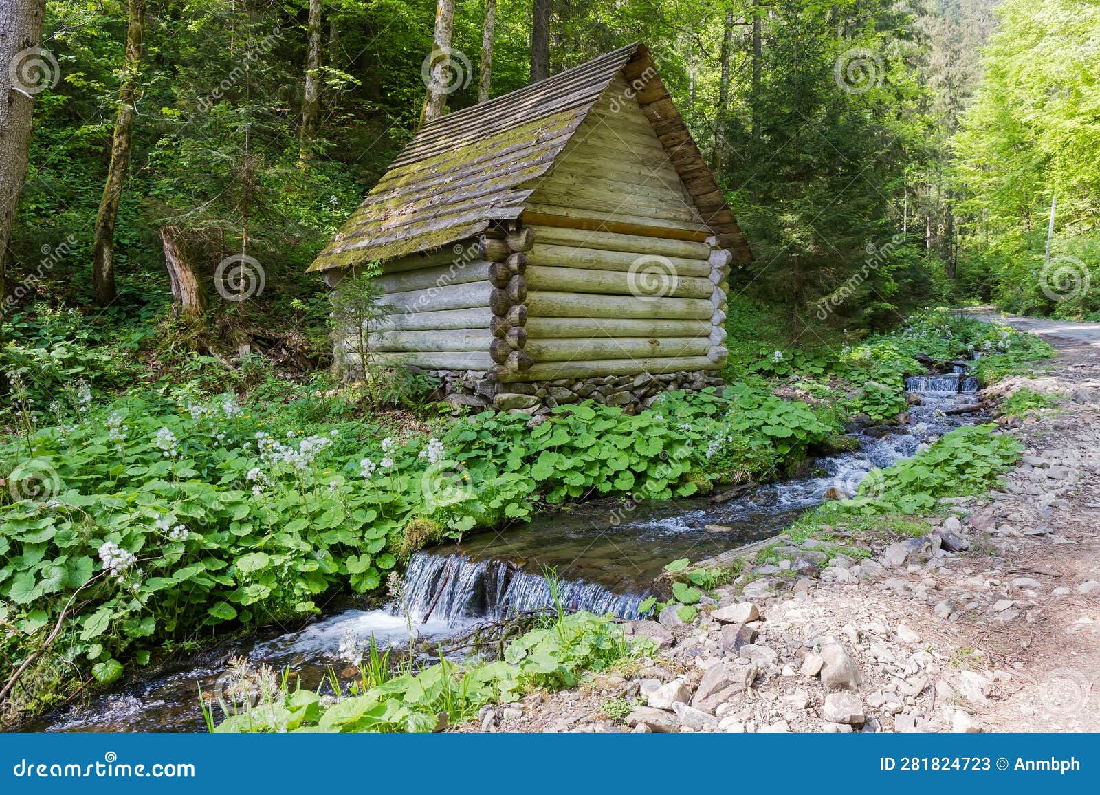 Mountain Stream in Forest and Old Log Cabin at Springtime Stock Image ...