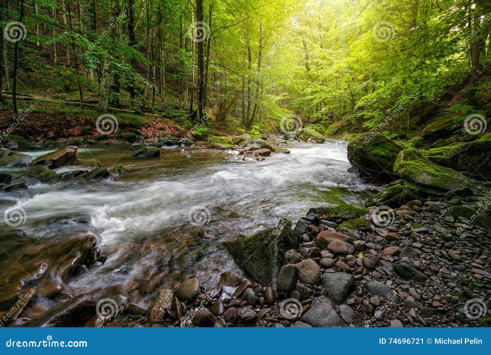 Mountain Stream in Green Forest Stock Image - Image of flow, river ...