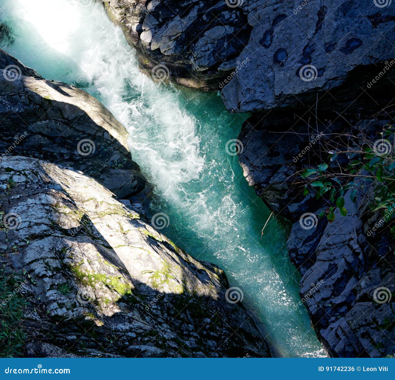 Mountain Stream in Green Forest at Spring Time Stock Photo - Image of ...
