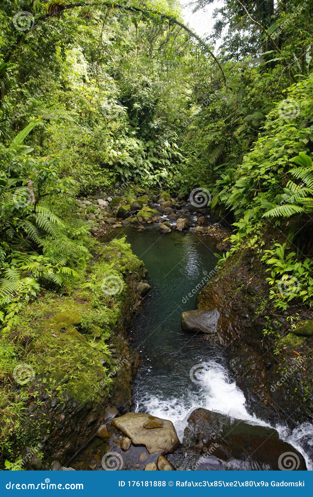 Chute Du Carbet - The Waterfalls Group Inside A Tropical Forest Located ...