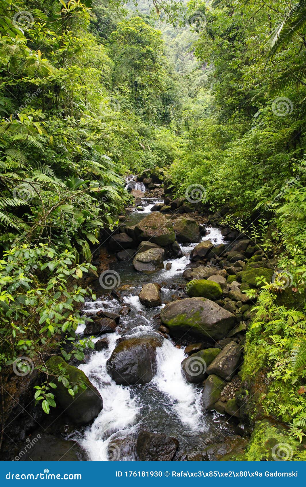 Chute Du Carbet - The Waterfalls Group Inside A Tropical Forest Located ...