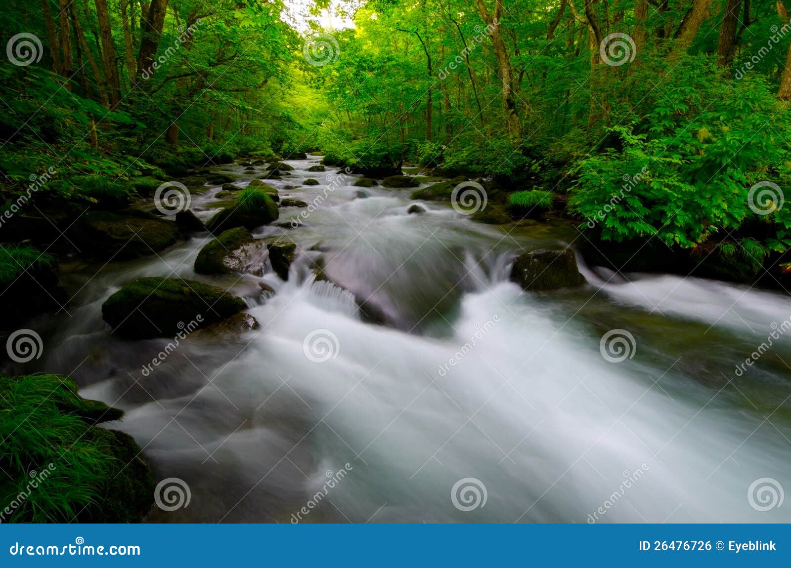 Mountain stream in japan stock photo. Image of mountain - 26476726